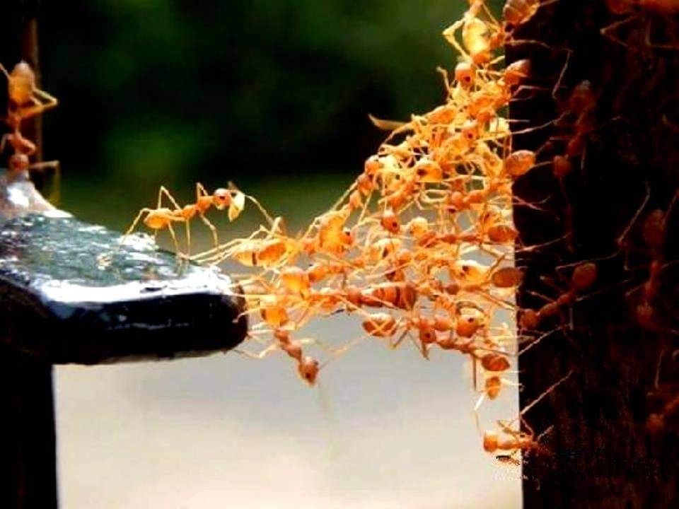 Ravi Ranjan Singh on LinkedIn: #teamwork #workingtogether # ... Ravi Ranjan Singh on LinkedIn: #teamwork #workingtogether # ...