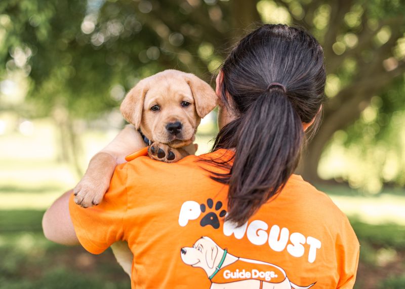 Guide Dogs SA/NT on LinkedIn: #guidedogs #pawgust #walkingchallenge # ... Guide Dogs SA/NT on LinkedIn: #guidedogs #pawgust #walkingchallenge # ...
