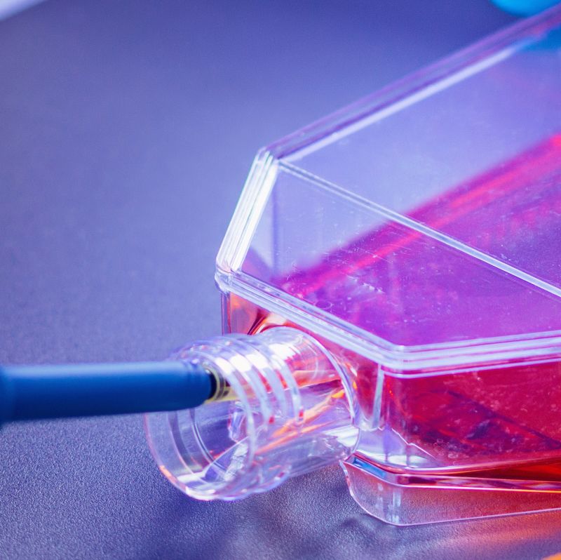 AAT Bioquest on LinkedIn: Calcein Viability Assays Troubleshooting AAT Bioquest on LinkedIn: Calcein Viability Assays Troubleshooting