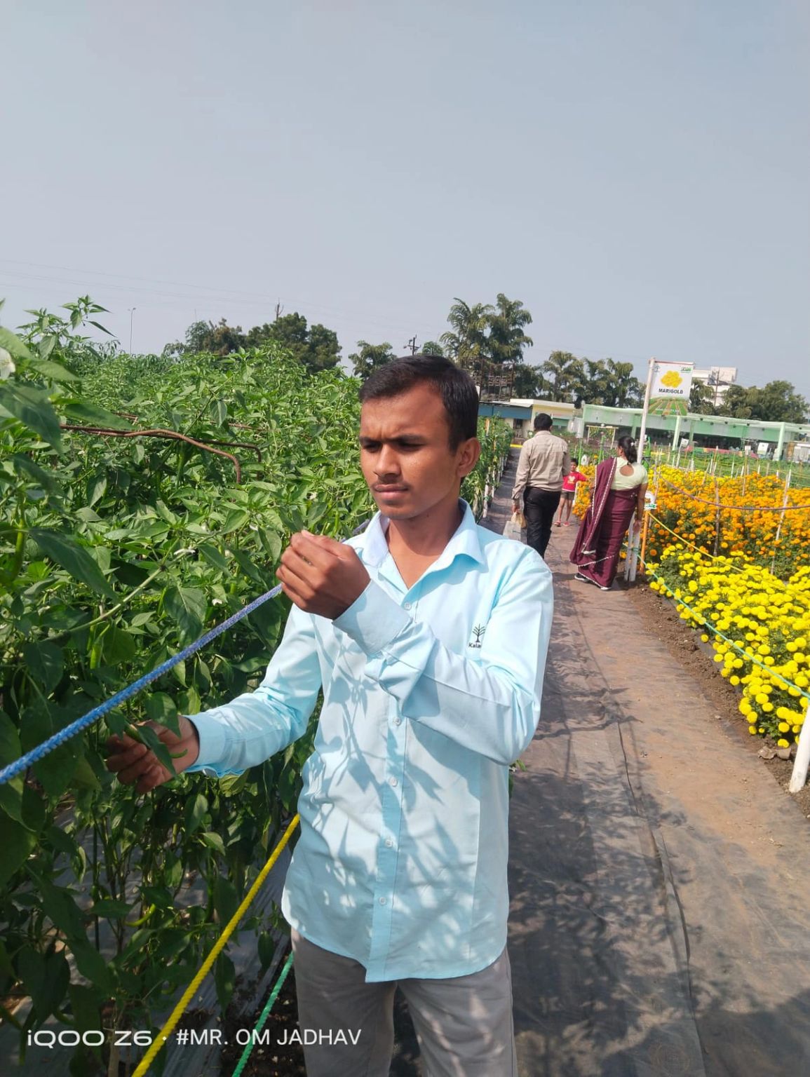 Akash Cheke posted on LinkedIn Akash Cheke posted on LinkedIn