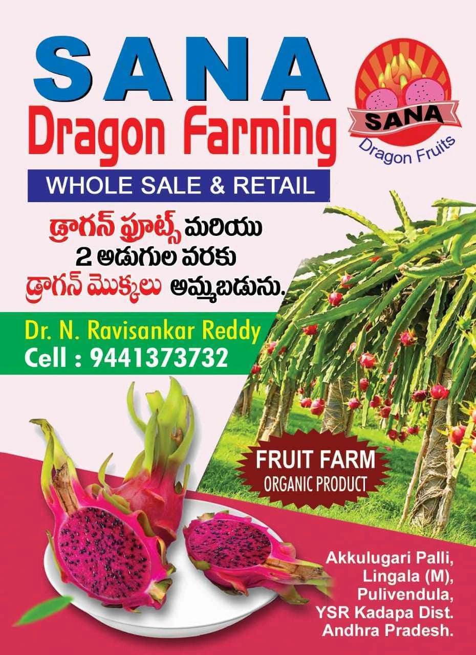 Dr. Ravisankar Reddy Narala on LinkedIn: My name is Dr. Narala Ravi ... Dr. Ravisankar Reddy Narala on LinkedIn: My name is Dr. Narala Ravi ...