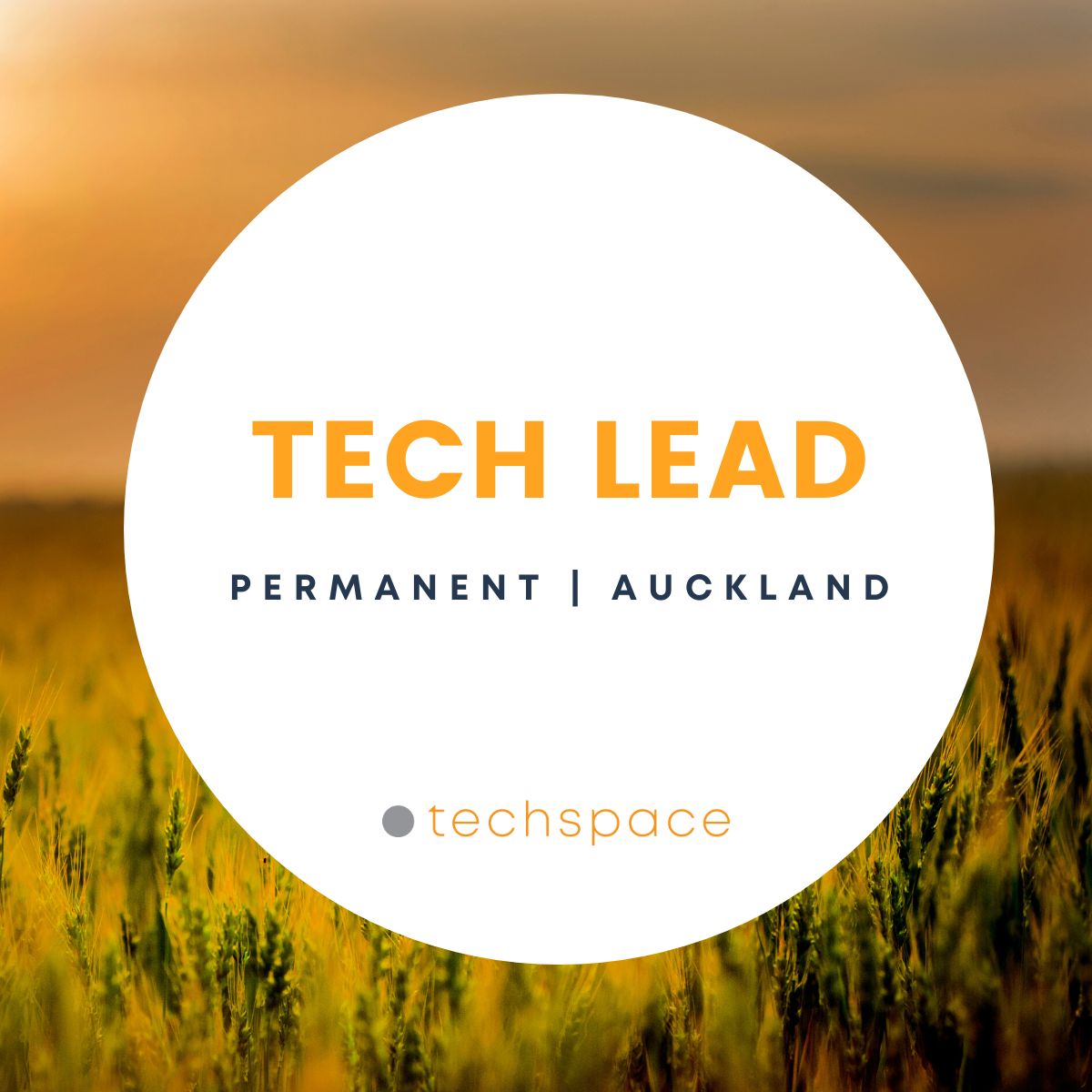 Gabriel Dragos on LinkedIn: We’re on the hunt for a talented Tech Lead ... Gabriel Dragos on LinkedIn: We’re on the hunt for a talented Tech Lead ...