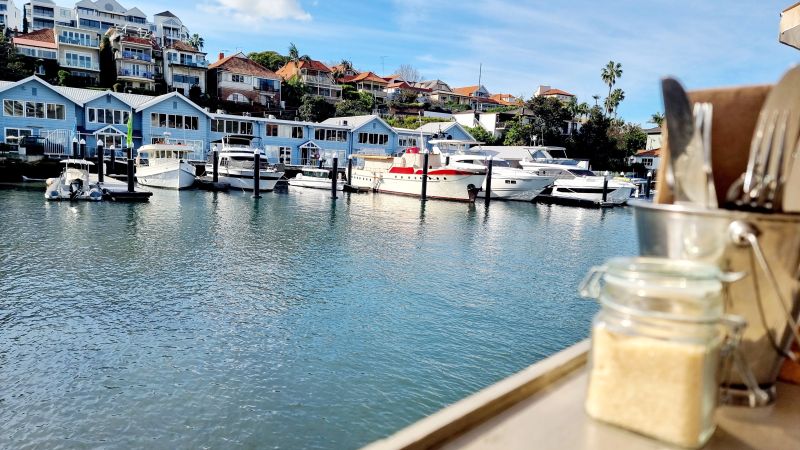 Lassie Zia on LinkedIn: 🌍🌏🌎 Hello and Happy Friday everyone around the ... Lassie Zia on LinkedIn: 🌍🌏🌎 Hello and Happy Friday everyone around the ...