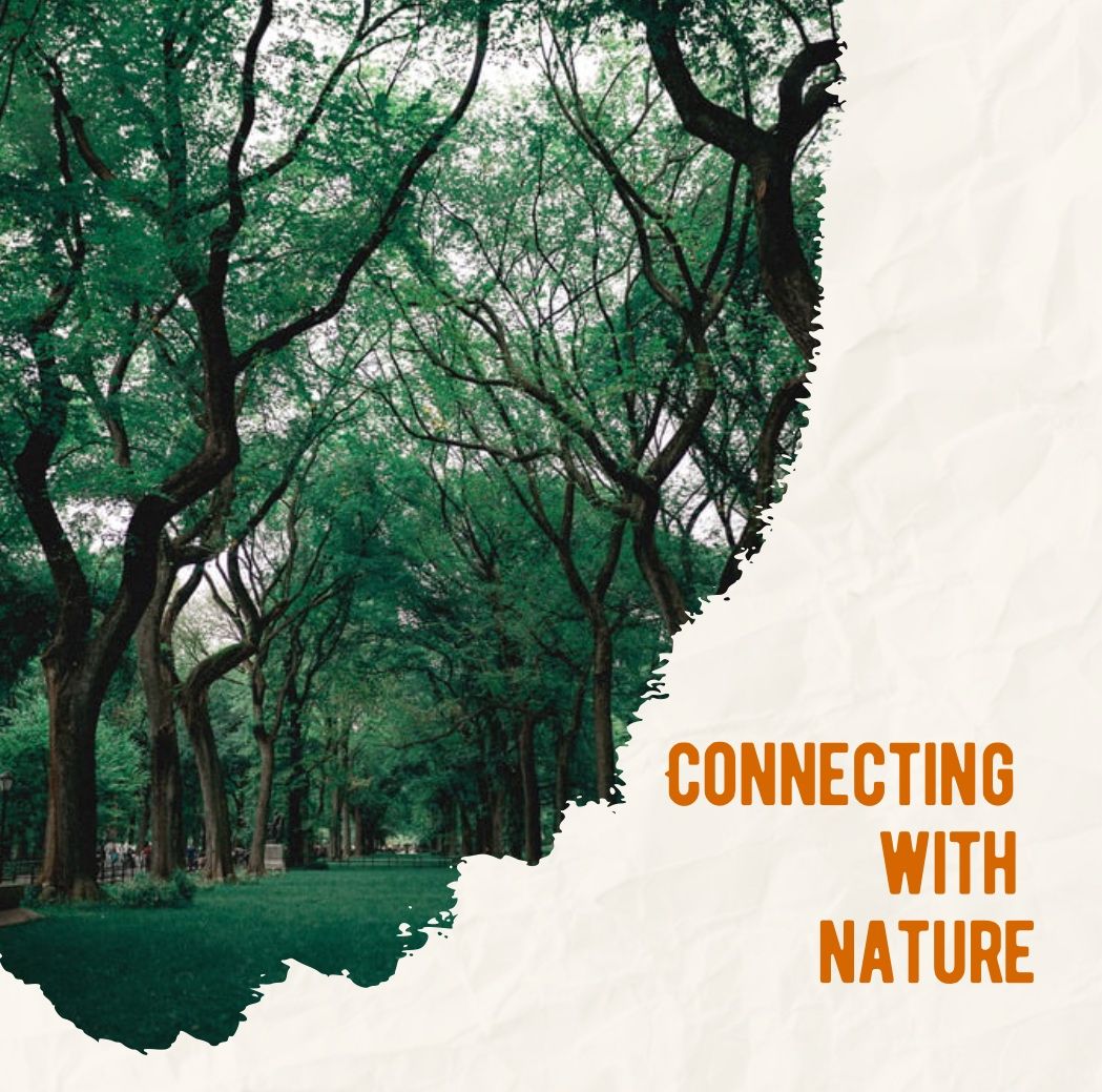 Nidhi Agrawal on LinkedIn: #natureinspiration #sustainability Nidhi Agrawal on LinkedIn: #natureinspiration #sustainability