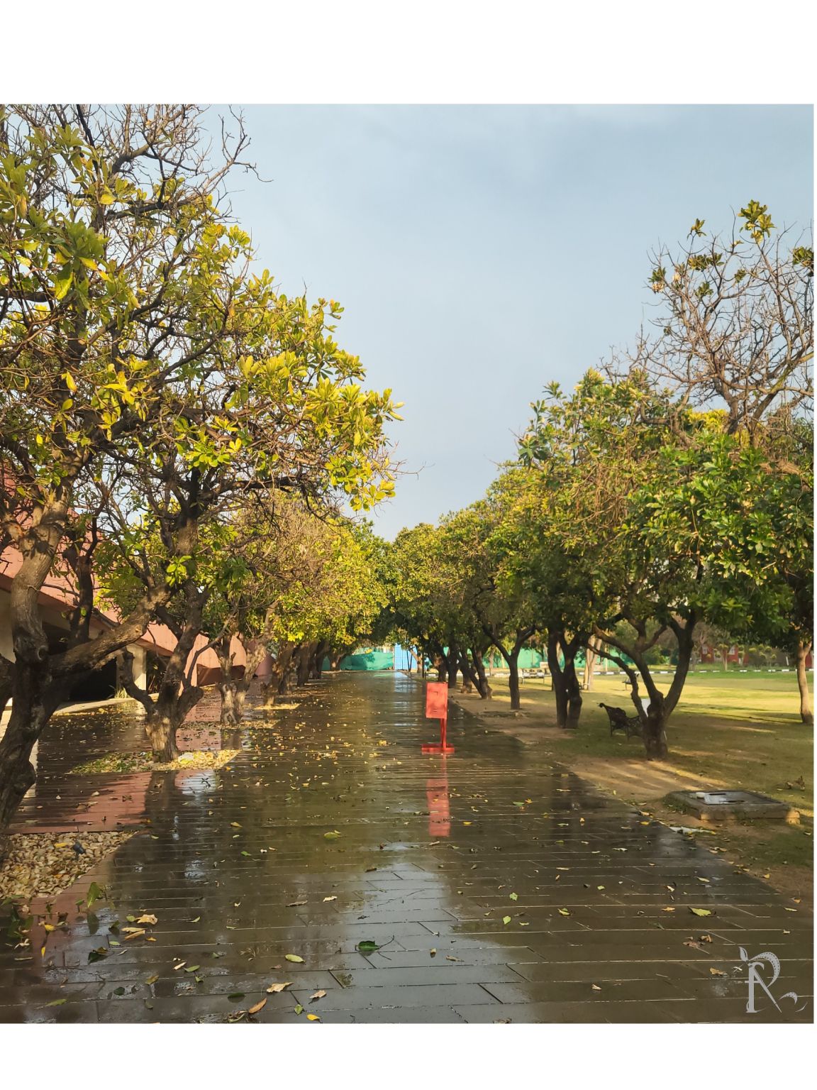 Dr. Ashima Singh on LinkedIn: Summers at TIET after a Morning Drizzle Dr. Ashima Singh on LinkedIn: Summers at TIET after a Morning Drizzle