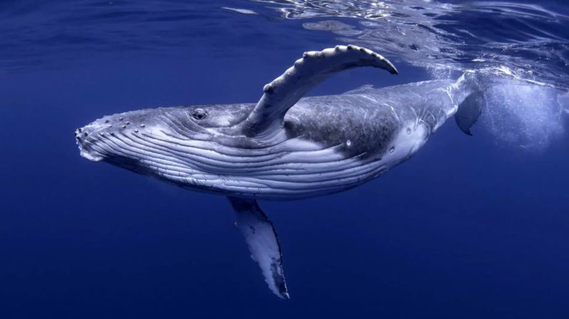 Focus21 Inc. on LinkedIn: Deep Dive into Software Development ... Focus21 Inc. on LinkedIn: Deep Dive into Software Development ...