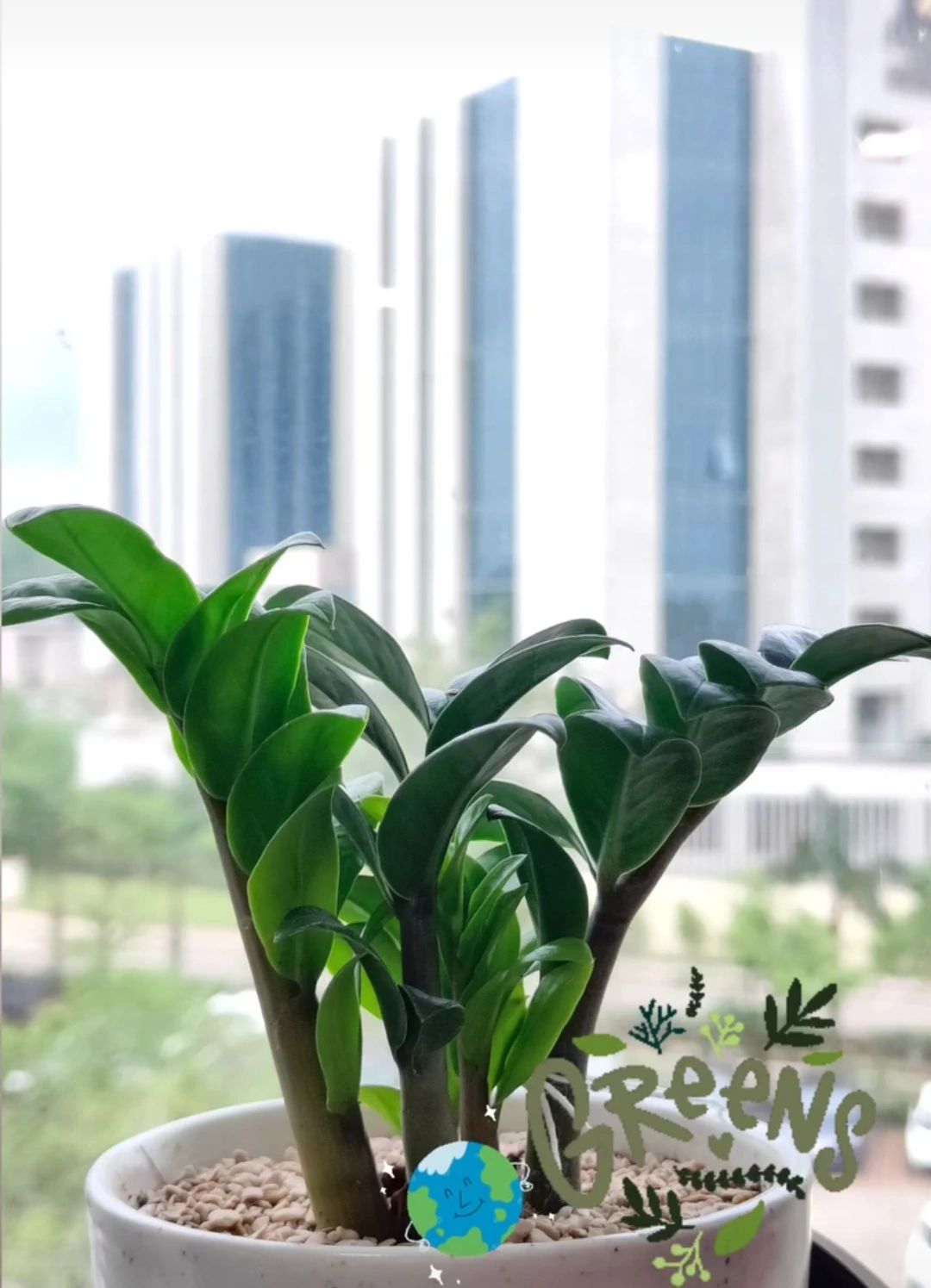 Lakshmi Rajendran on LinkedIn: #worldenvironmentday Lakshmi Rajendran on LinkedIn: #worldenvironmentday
