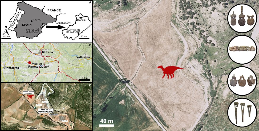 Diversity MDPI on LinkedIn: #iguanodon #paleontology #earlycretaceous # ... Diversity MDPI on LinkedIn: #iguanodon #paleontology #earlycretaceous # ...