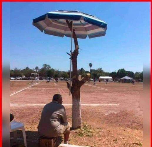 Deepak Yadav on LinkedIn: #savetree #gogreen Deepak Yadav on LinkedIn: #savetree #gogreen
