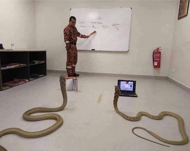 Salman Rahaman on LinkedIn: #python #learning Salman Rahaman on LinkedIn: #python #learning