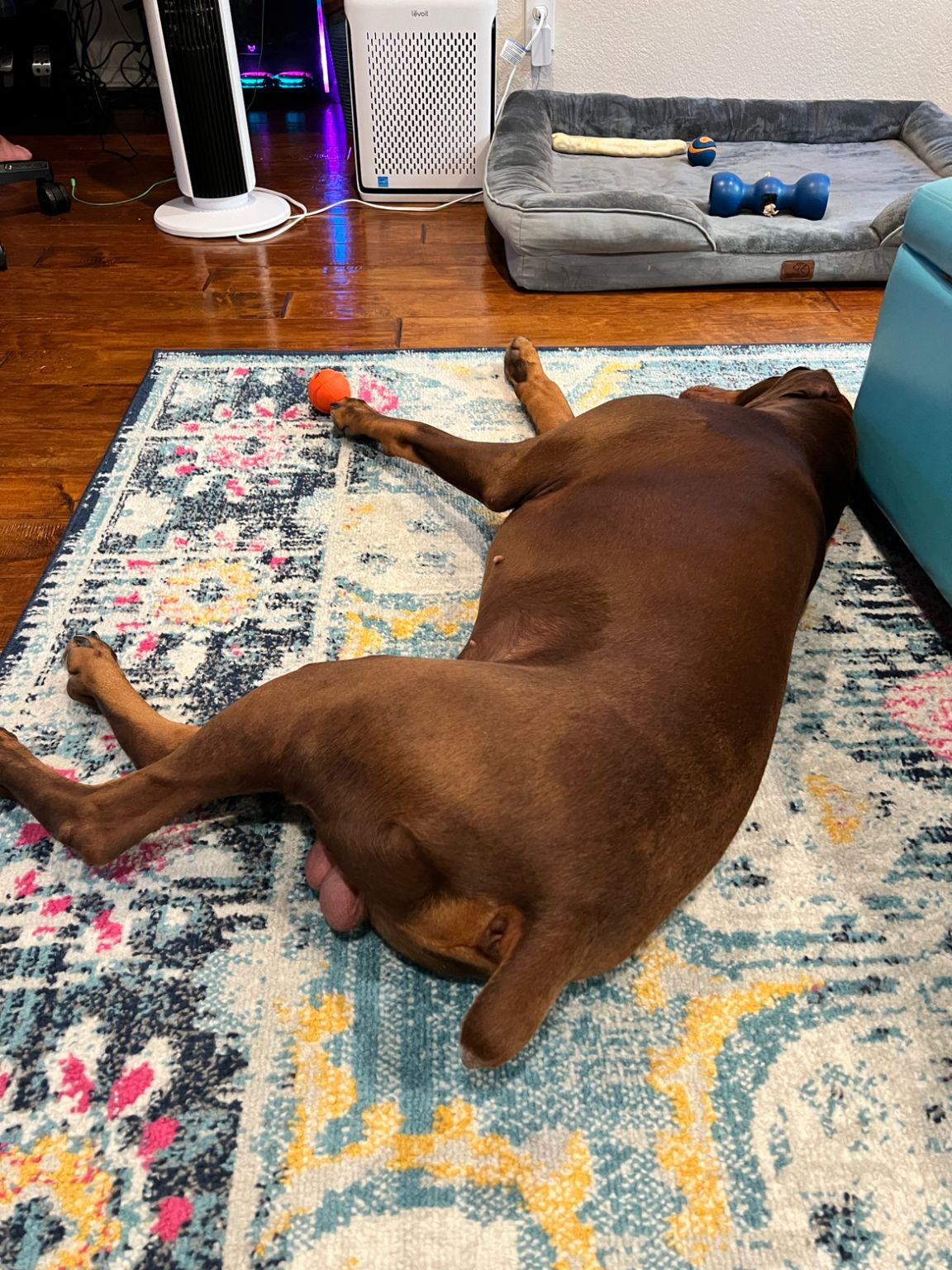 Professor Nez on LinkedIn: The phrase “works like a dog” doesn’t seem ... Professor Nez on LinkedIn: The phrase “works like a dog” doesn’t seem ...
