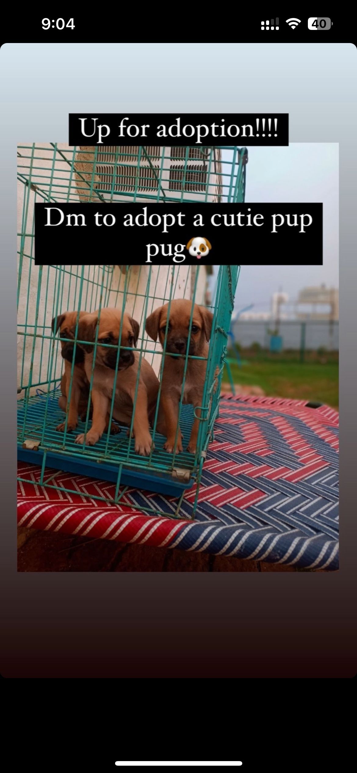 Kushagra Garg on LinkedIn: Hey folks, need your help. These cute ... Kushagra Garg on LinkedIn: Hey folks, need your help. These cute ...