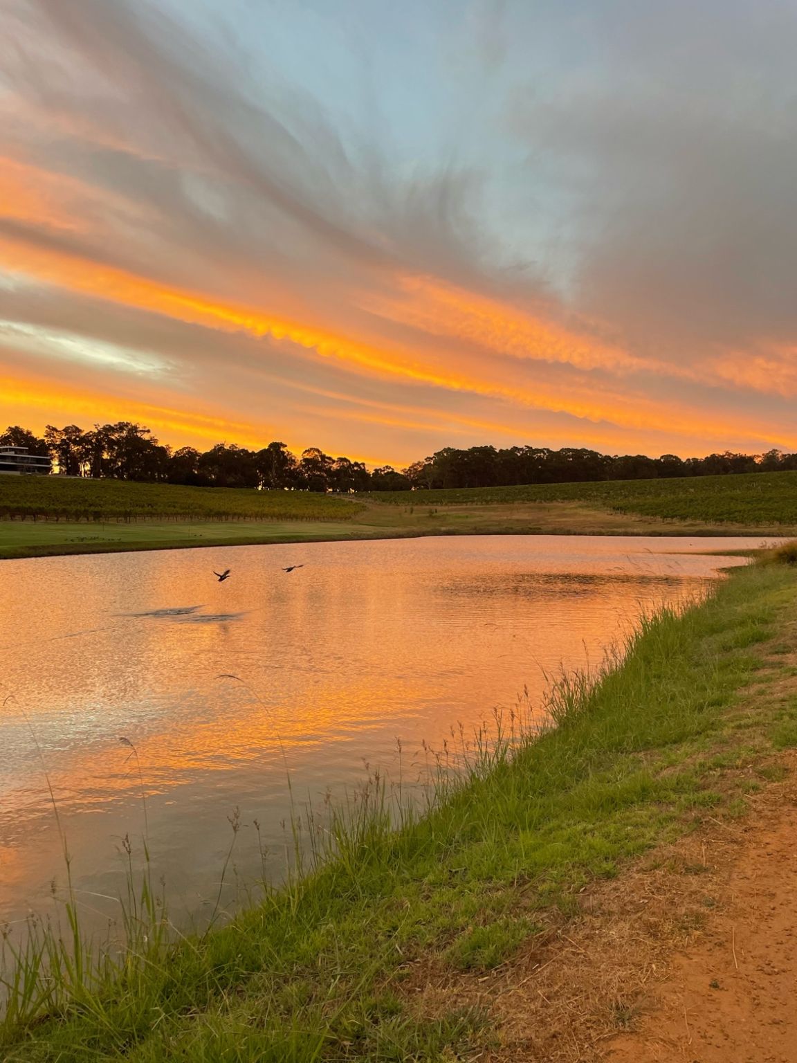 Lulu Godfrey on LinkedIn: Yesterday, I drafted my week of content in 1. ... Lulu Godfrey on LinkedIn: Yesterday, I drafted my week of content in 1. ...