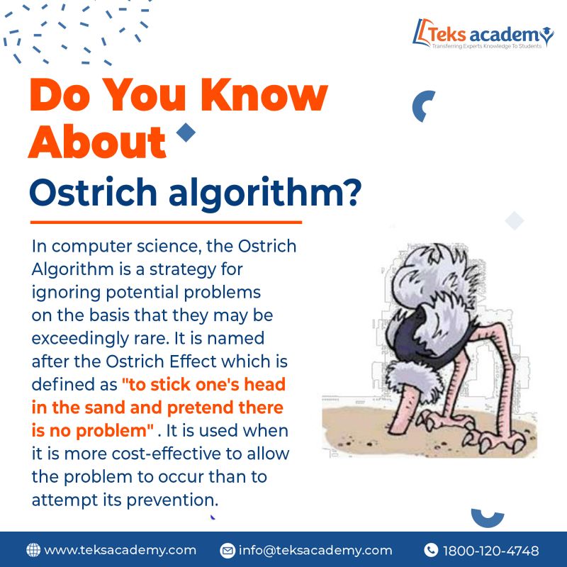 Teks Academy on LinkedIn: #algorithm #ostrich #ostrichalgorithm # ... Teks Academy on LinkedIn: #algorithm #ostrich #ostrichalgorithm # ...