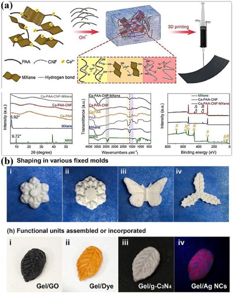 Md. Alal Hossain on LinkedIn: 3D printed ionic liquids based hydrogels and… Md. Alal Hossain on LinkedIn: 3D printed ionic liquids based hydrogels and…