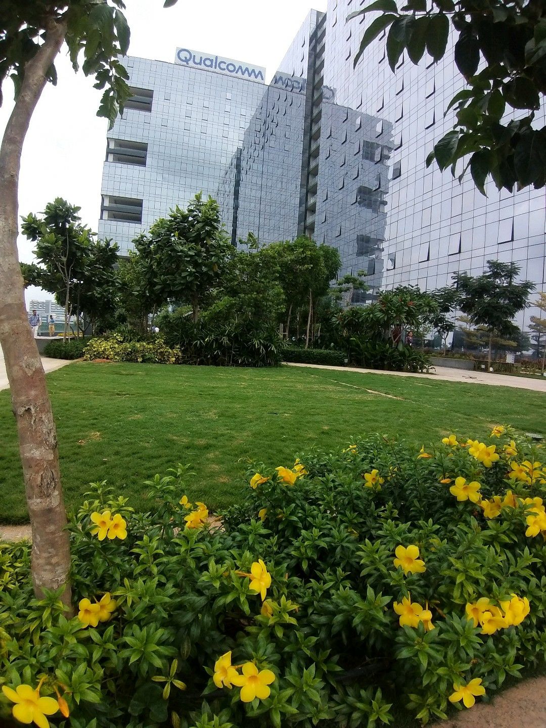 Mohit Mayank on LinkedIn: #connections #new2q #qualcomm #qniversitygrad ... Mohit Mayank on LinkedIn: #connections #new2q #qualcomm #qniversitygrad ...