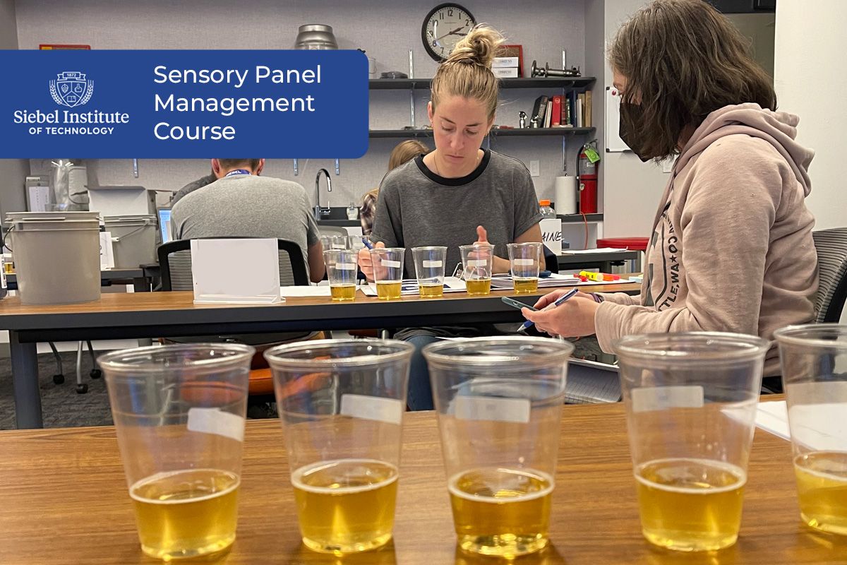 Siebel Institute of Technology on LinkedIn: For breweries that need a ... Siebel Institute of Technology on LinkedIn: For breweries that need a ...