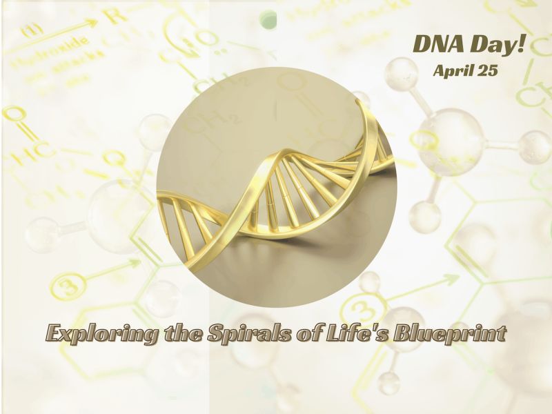 CBIRT, Centre of Bioinformatics Research & Tech on LinkedIn: #dnaday # ... CBIRT, Centre of Bioinformatics Research & Tech on LinkedIn: #dnaday # ...