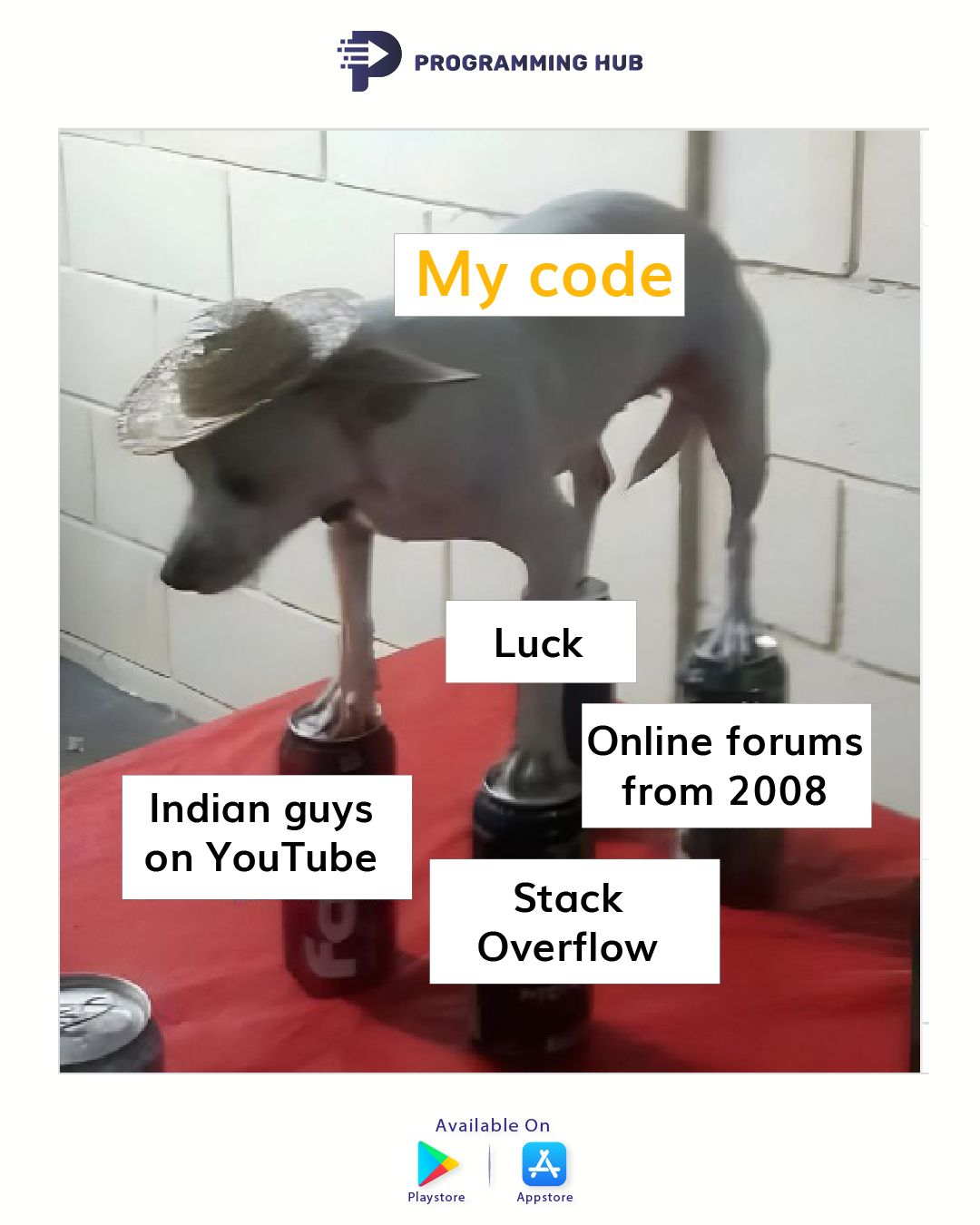 Programming Hub on LinkedIn: #codinghumor #developerlife # ... Programming Hub on LinkedIn: #codinghumor #developerlife # ...