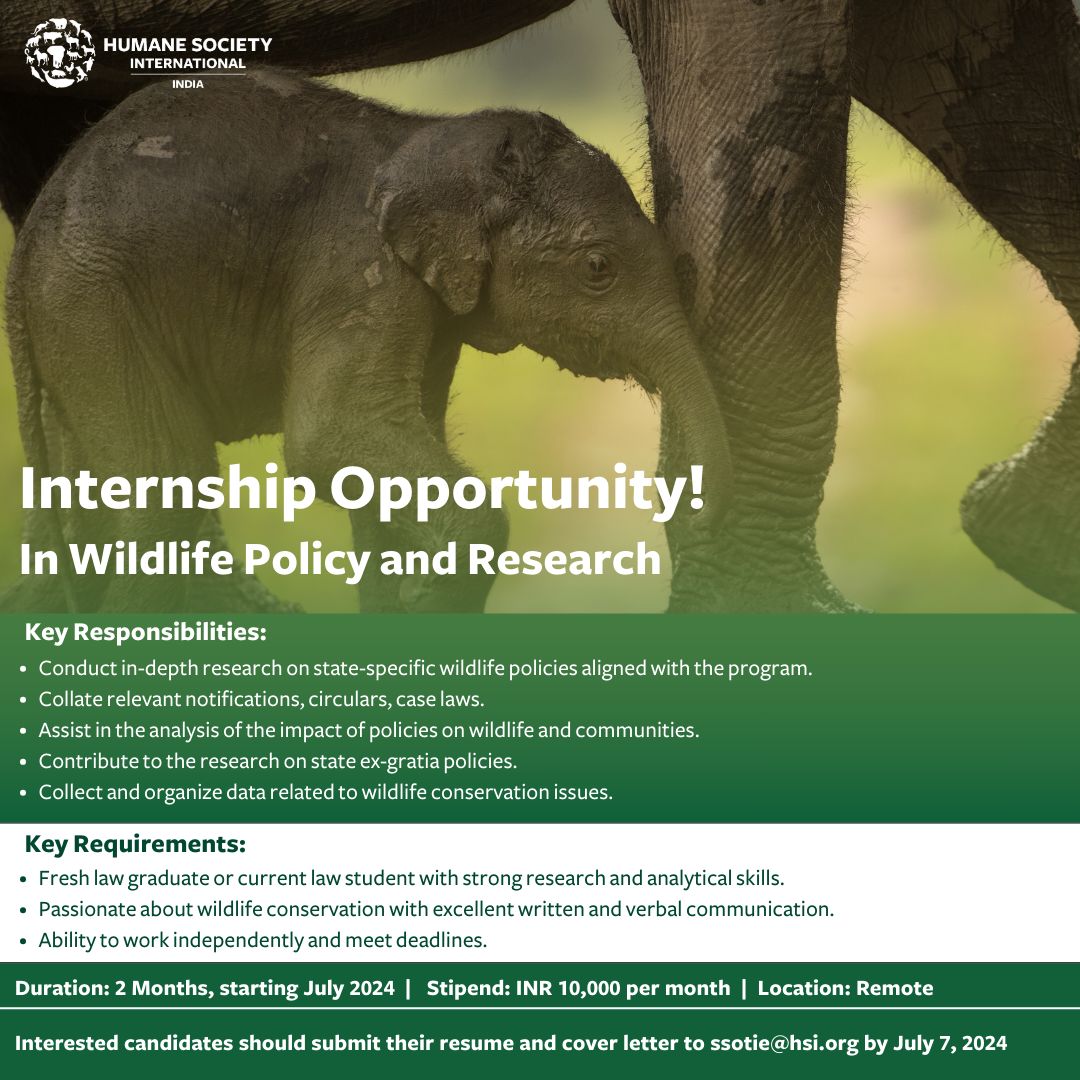 Humane Society International India on LinkedIn: #internshipopportunity ... Humane Society International India on LinkedIn: #internshipopportunity ...