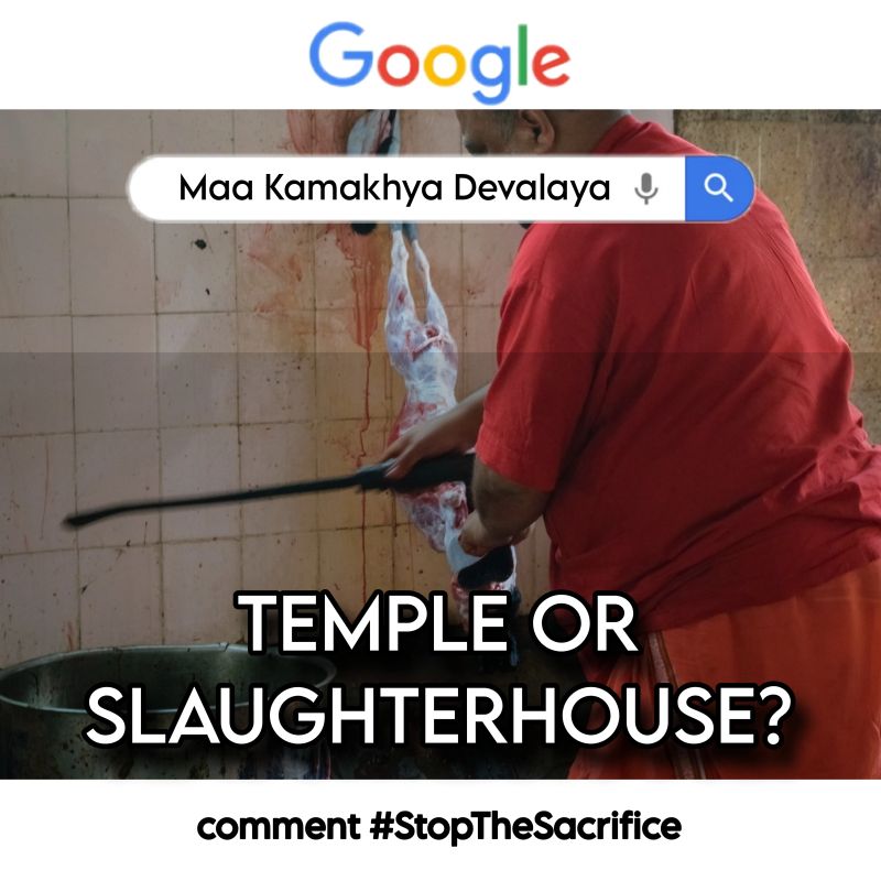 Altab Hossain on LinkedIn: Did you know that Maa Kamakhya Temple in ... Altab Hossain on LinkedIn: Did you know that Maa Kamakhya Temple in ...