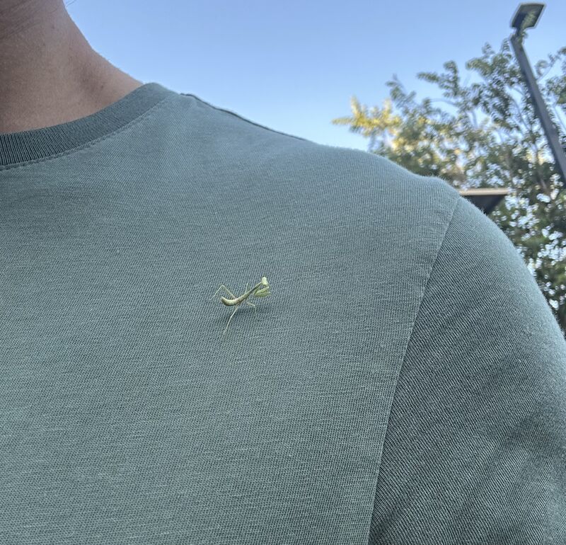 Akash Sethi on LinkedIn: #mantis Akash Sethi on LinkedIn: #mantis