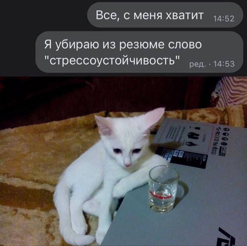 Nikita Sinelnikov on LinkedIn: #react #js #ts #javascript #typescript # ... Nikita Sinelnikov on LinkedIn: #react #js #ts #javascript #typescript # ...