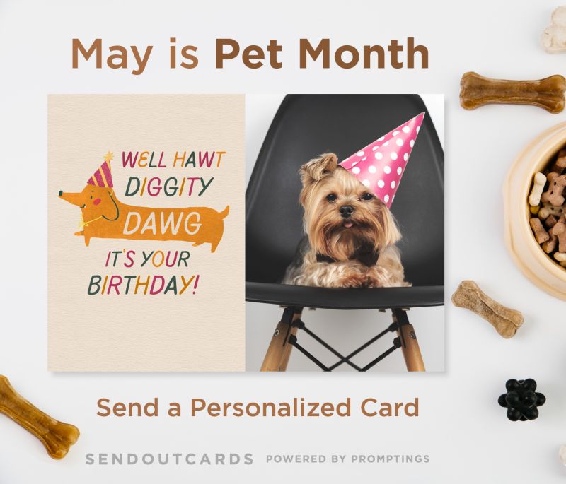 SendOutCards on LinkedIn: #sendoutcards #promptings #cards # ... SendOutCards on LinkedIn: #sendoutcards #promptings #cards # ...