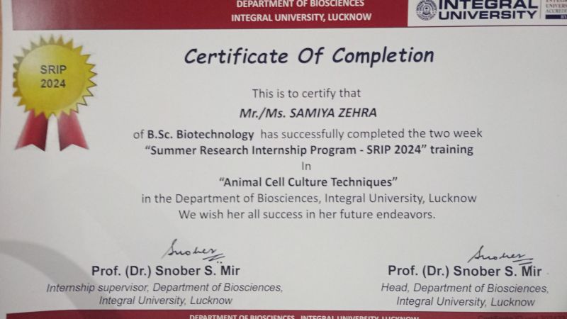 Samiya Zehra on LinkedIn: #internship #animaltissue #research #science ... Samiya Zehra on LinkedIn: #internship #animaltissue #research #science ...