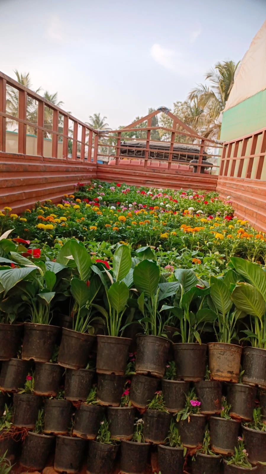 Suresh Maloth on LinkedIn: it's time to explore nature with beautiful ... Suresh Maloth on LinkedIn: it's time to explore nature with beautiful ...