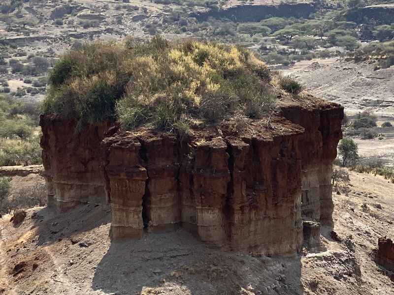 Dr Kim-Shyan Fam (PhD, FCIM, DPhil, DSM) on LinkedIn: I am in Olduvai ... Dr Kim-Shyan Fam (PhD, FCIM, DPhil, DSM) on LinkedIn: I am in Olduvai ...