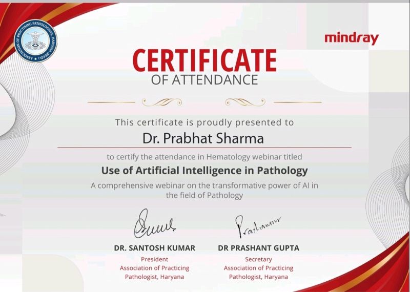 sharma prabhat on LinkedIn: AI...... sharma prabhat on LinkedIn: AI......