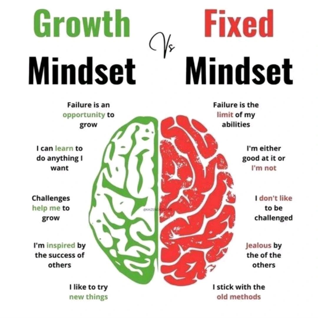 Maneesh Kumar Rajan on LinkedIn: #mindset #approch #growth #furure Maneesh Kumar Rajan on LinkedIn: #mindset #approch #growth #furure