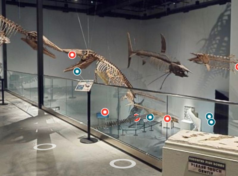Exploring Achelousaurus Exhibits: A Visitor'S Guide Exploring Achelousaurus Exhibits: A Visitor'S Guide