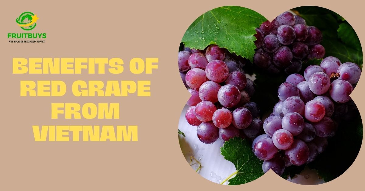 FruitBuys Vietnam on LinkedIn: Unlock 7 Surprising Health Benefits Of ... FruitBuys Vietnam on LinkedIn: Unlock 7 Surprising Health Benefits Of ...