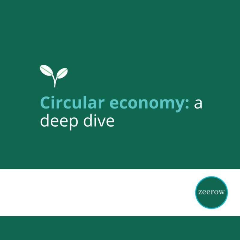 Zeerow on LinkedIn: A deep dive dive into the circular economy | Zeerow Zeerow on LinkedIn: A deep dive dive into the circular economy | Zeerow