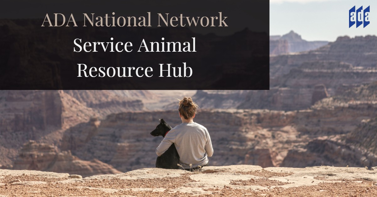 Leah Lobato on LinkedIn: Service Animal Basics Leah Lobato on LinkedIn: Service Animal Basics