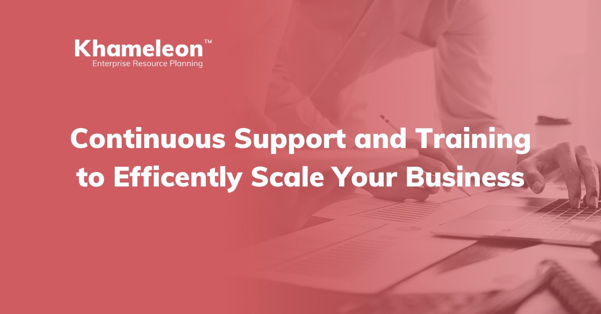 Mark Fleischer on LinkedIn: Khameleon ERP Support Services | ERP System ... Mark Fleischer on LinkedIn: Khameleon ERP Support Services | ERP System ...