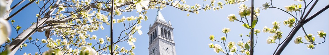 UC Berkeley People & Culture on LinkedIn: Mentorship Program UC Berkeley People & Culture on LinkedIn: Mentorship Program