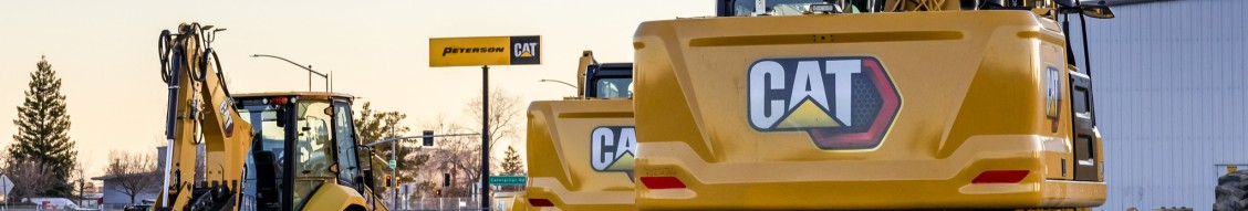 Peterson Cat | LinkedIn Peterson Cat | LinkedIn