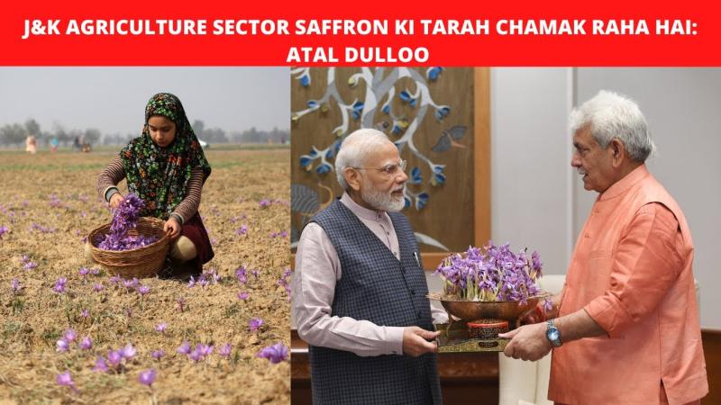 jk news today on LinkedIn: J&K Agriculture sector saffron ki tarah ... jk news today on LinkedIn: J&K Agriculture sector saffron ki tarah ...