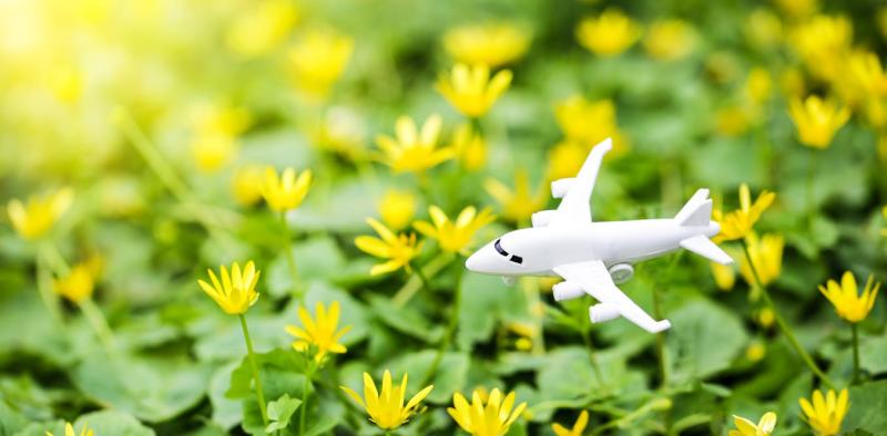 Jamin Wood on LinkedIn: From jet fuel to clothes, microbes can help us ... Jamin Wood on LinkedIn: From jet fuel to clothes, microbes can help us ...