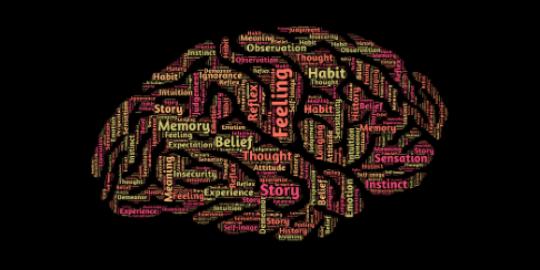 Sarah Fraser, MCC on LinkedIn: Neuroscience & Coaching: Myths & Research Sarah Fraser, MCC on LinkedIn: Neuroscience & Coaching: Myths & Research