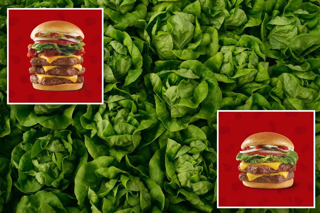 Tim Galvin on LinkedIn: Wendy’s E. coli outbreak worse than reported by ... Tim Galvin on LinkedIn: Wendy’s E. coli outbreak worse than reported by ...