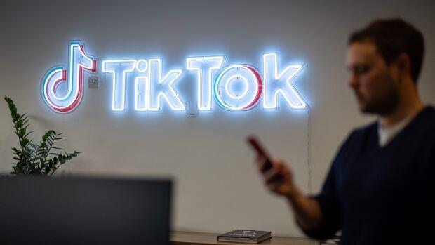 Edward Kiledjian on LinkedIn: As TikTok faces data-harvesting claims ... Edward Kiledjian on LinkedIn: As TikTok faces data-harvesting claims ...