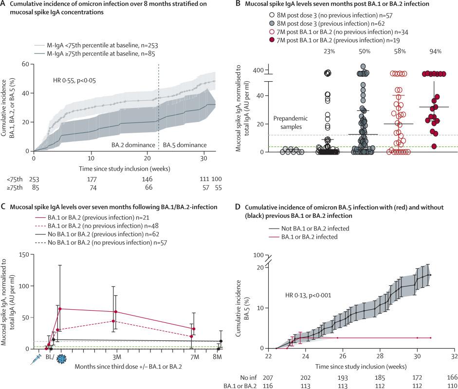 Raju Sunagar on LinkedIn: 7-month duration of SARS-CoV-2 mucosal ... Raju Sunagar on LinkedIn: 7-month duration of SARS-CoV-2 mucosal ...