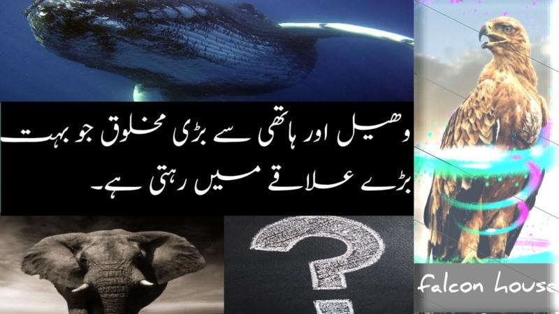 Talha Ammar on LinkedIn: https://lnkd.in/eZw_gMP Talha Ammar on LinkedIn: https://lnkd.in/eZw_gMP