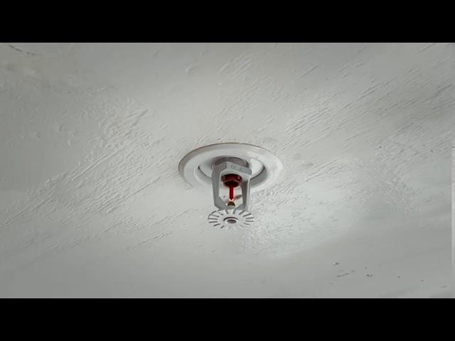 Paul Richard, CFI on LinkedIn: #fastestwater #firefighters Paul Richard, CFI on LinkedIn: #fastestwater #firefighters