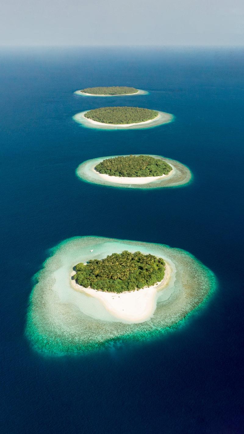 Ali Alaei on LinkedIn: LeetCode 200 ā Number Of Islands Ali Alaei on LinkedIn: LeetCode 200 ā Number Of Islands