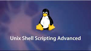 Vinay Patil on LinkedIn: Advanced Linux Shell Scripting: Arrays, File ... Vinay Patil on LinkedIn: Advanced Linux Shell Scripting: Arrays, File ...
